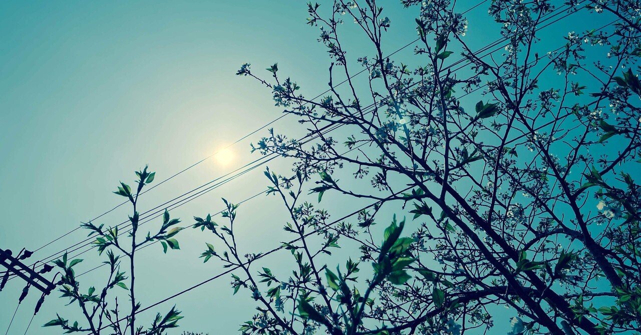 春｜𝚌𝚑𝚒𝚒