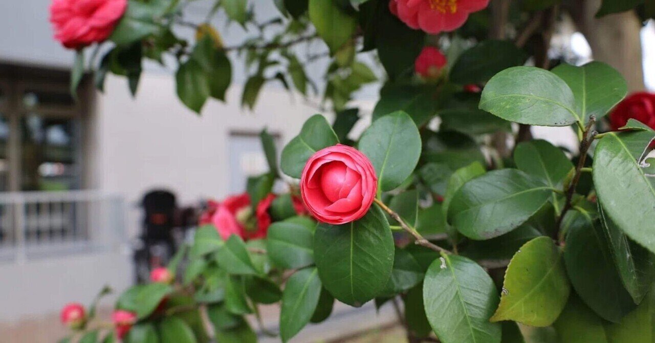 1週間の出来事009｜masae