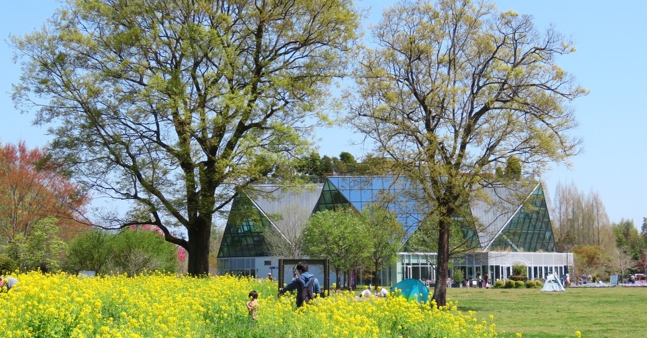 クリスタルフラワーの上から｜HRSD-note