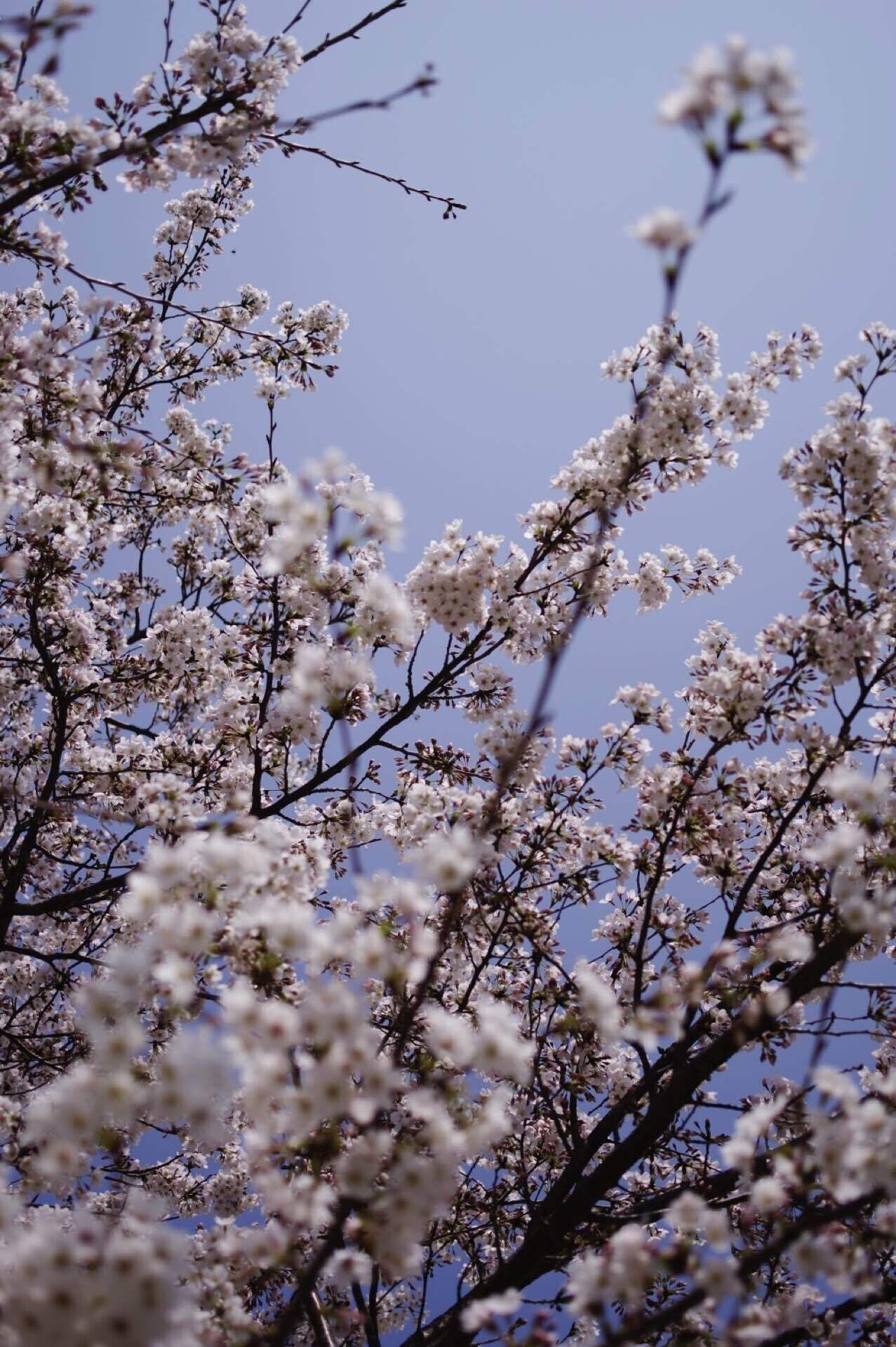 .ENDRECHERI. LIVE TOUR 2025『REBORN』初日と横浜BUNTAIと音楽と私｜Aki Yamaki