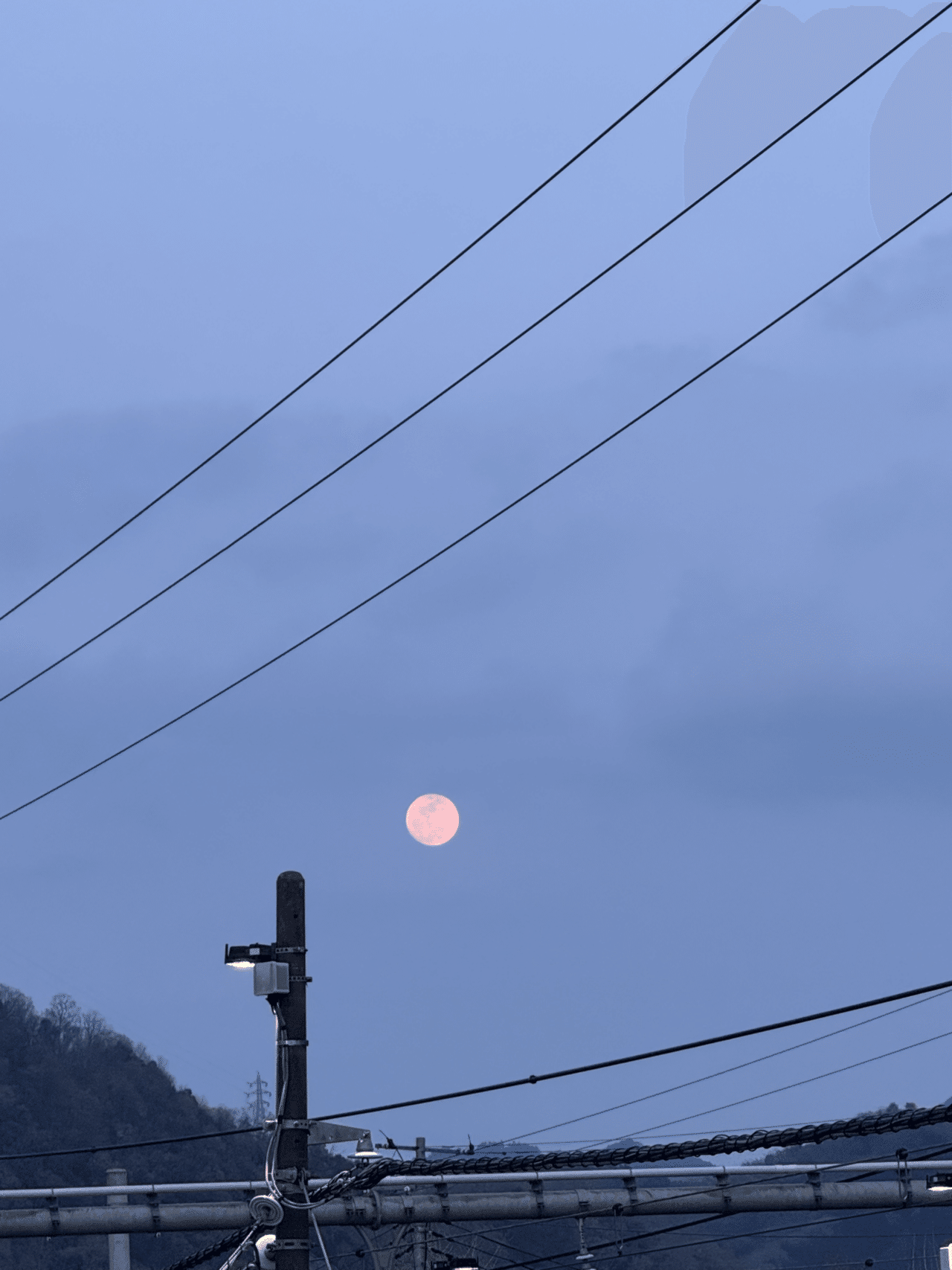 ピンクムーンは明日だけど｜Lily Kobayashi