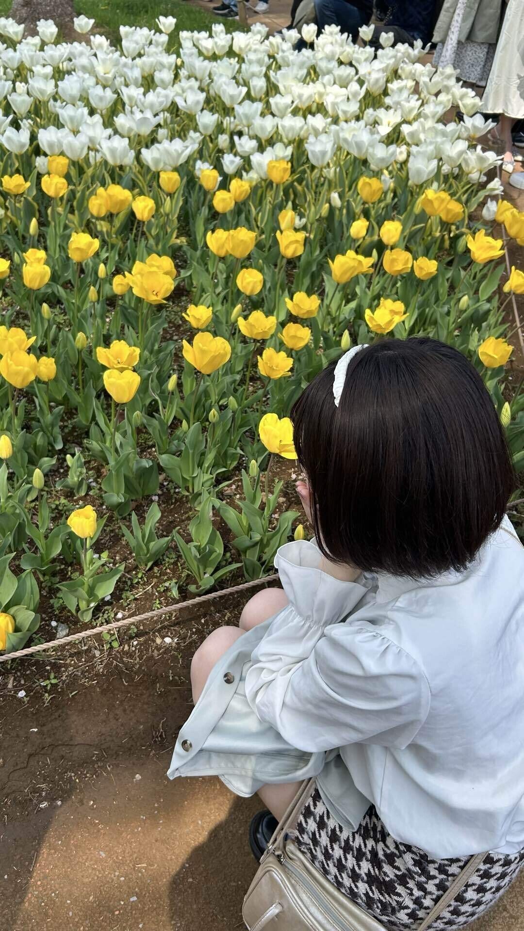 春だね🌷｜noko ︴4月までにフォロワー1000人