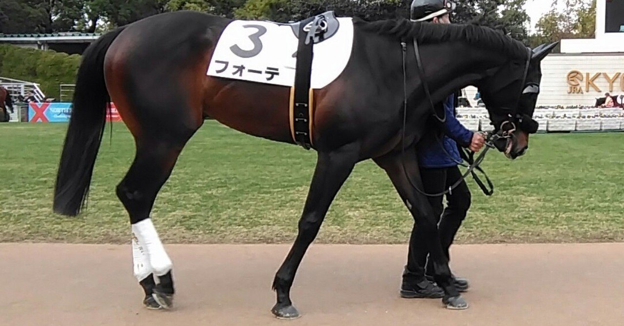 1/26（日）京都4R 1番人気馬｜JRDB 競馬アラカルト