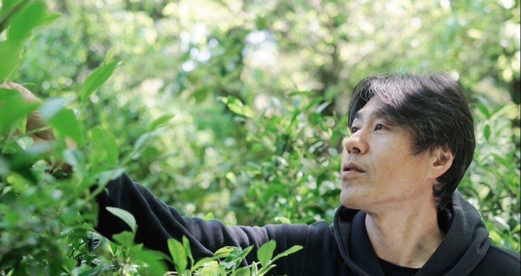 提供中の英語学習サービス｜Ken Sugihara - Itoshima Mindfulness English ｜note