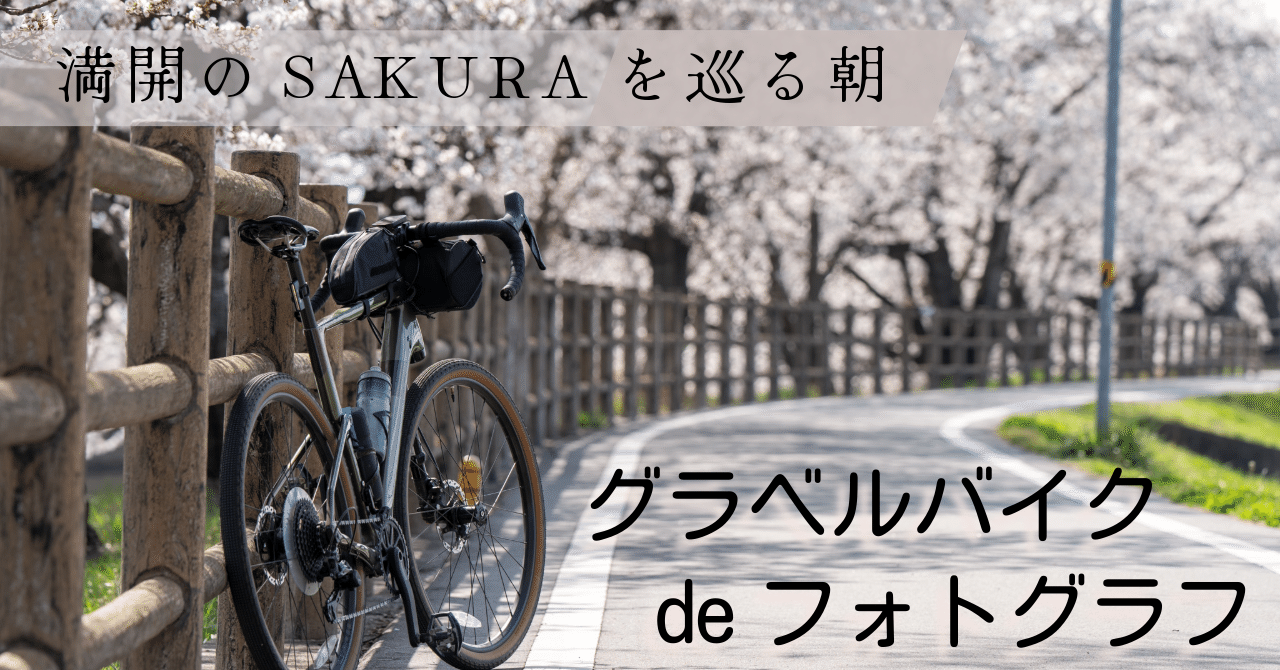 グラベルバイクdeフォトグラフ -満開のSAKURAを巡る朝-｜Xinn