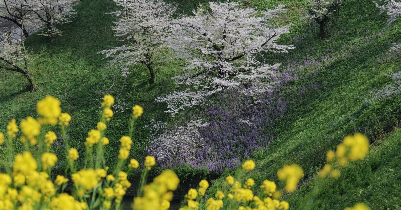 春を満喫する🌸｜Key Jey