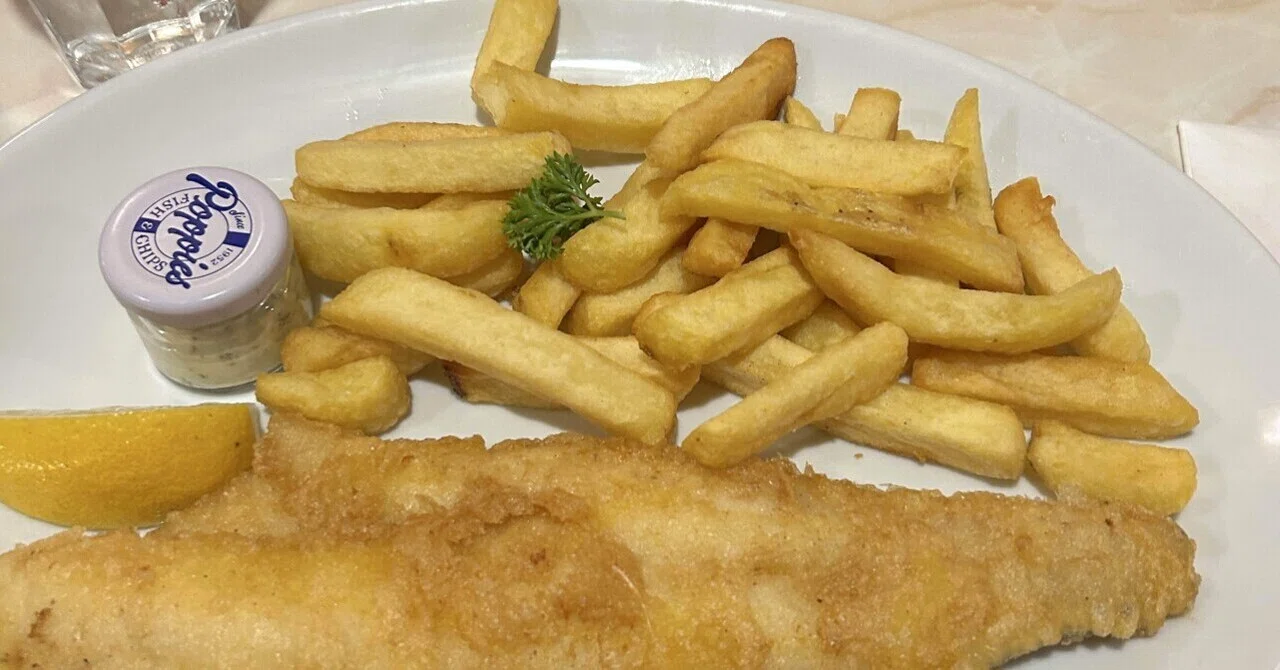 fish and chips｜dachi