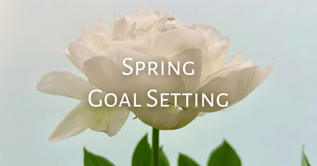 春にやっておきたい〈1年の舵取り〉｜Ainess Coaching｜ライフコーチえり