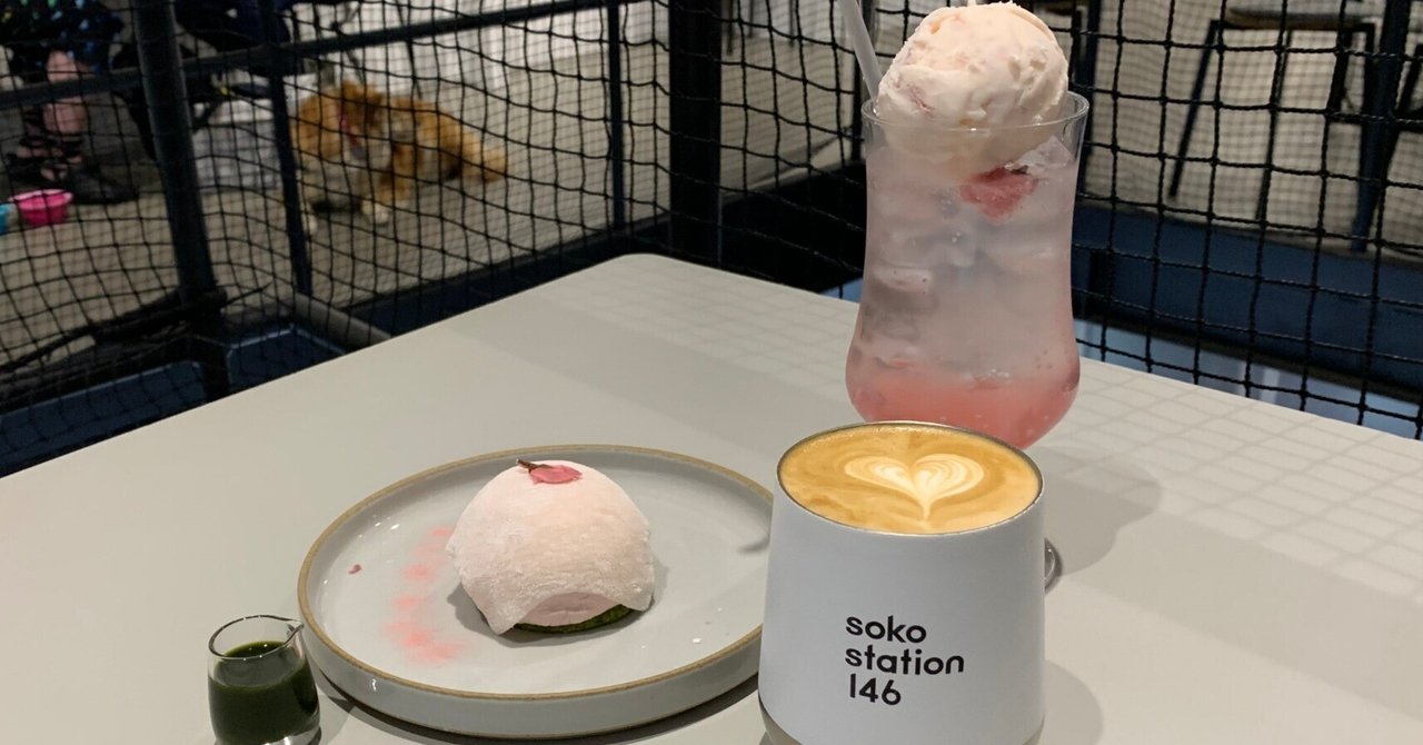 倉庫と桜【soko station 146】＠新木場｜ジョリオ