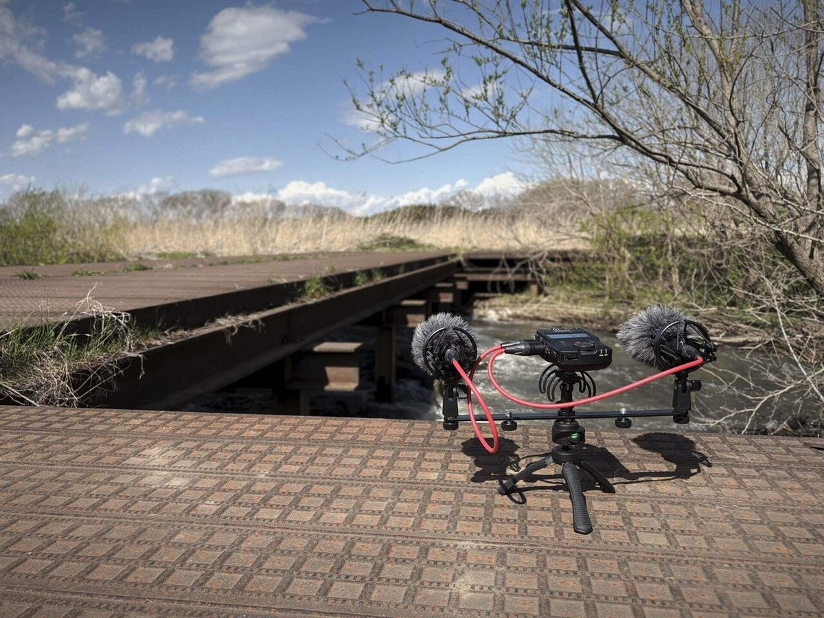 フィールド・レコーディング用ペンシルマイクを求めて……｜Genki Mishima