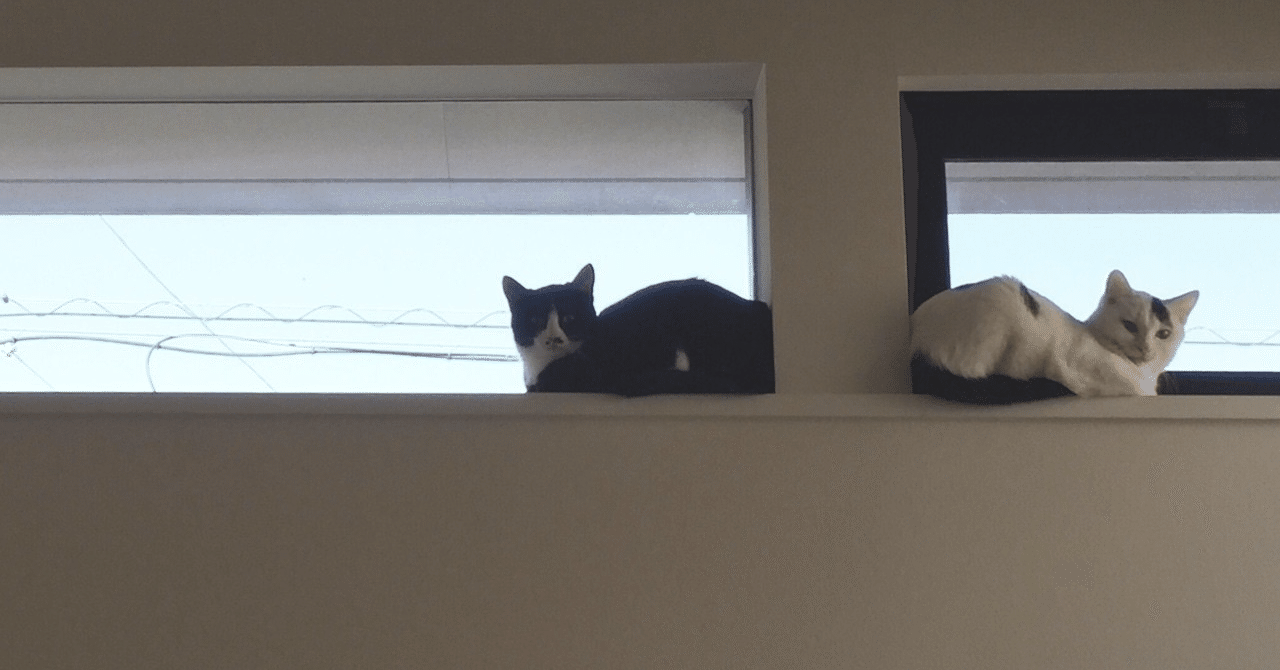 苦手だった姑と、ちょっとだけ分かり合えた時間｜Riko Kuma