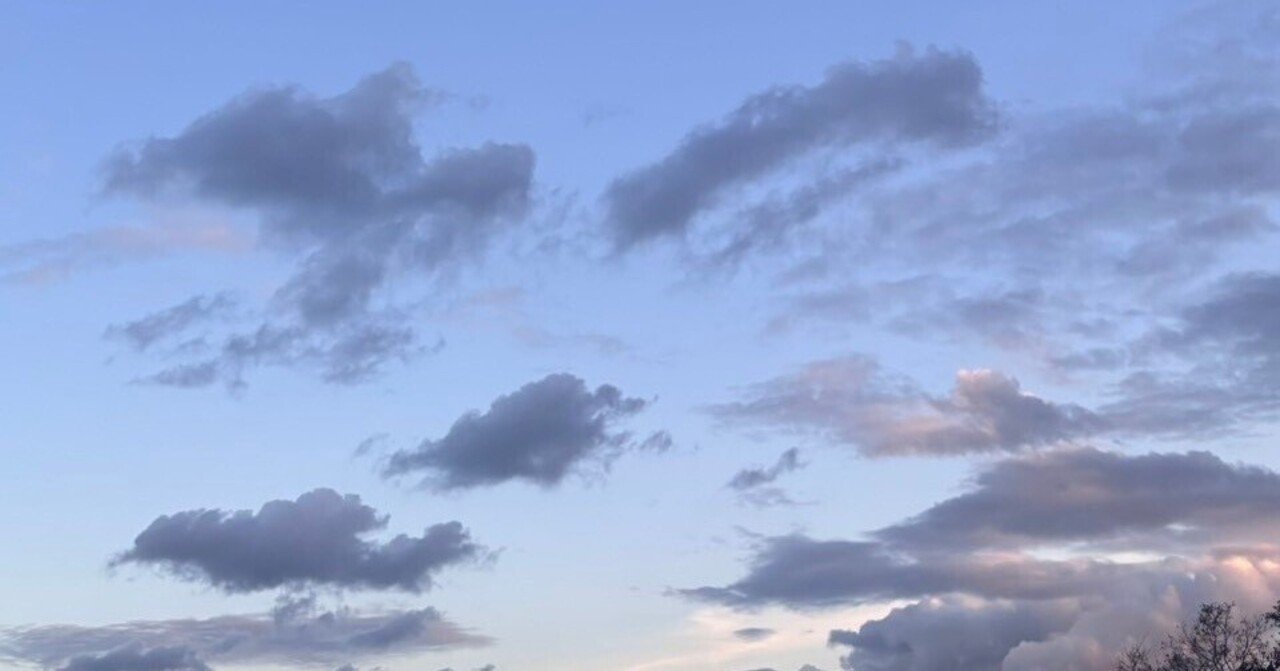 01 自己紹介🙌 初めてのnote ｜shuri