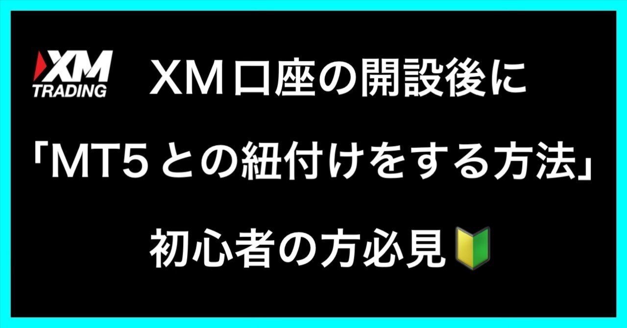 XM口座をMT5と紐付けをする方法 FX初心者用｜XMの犬（海外FX）
