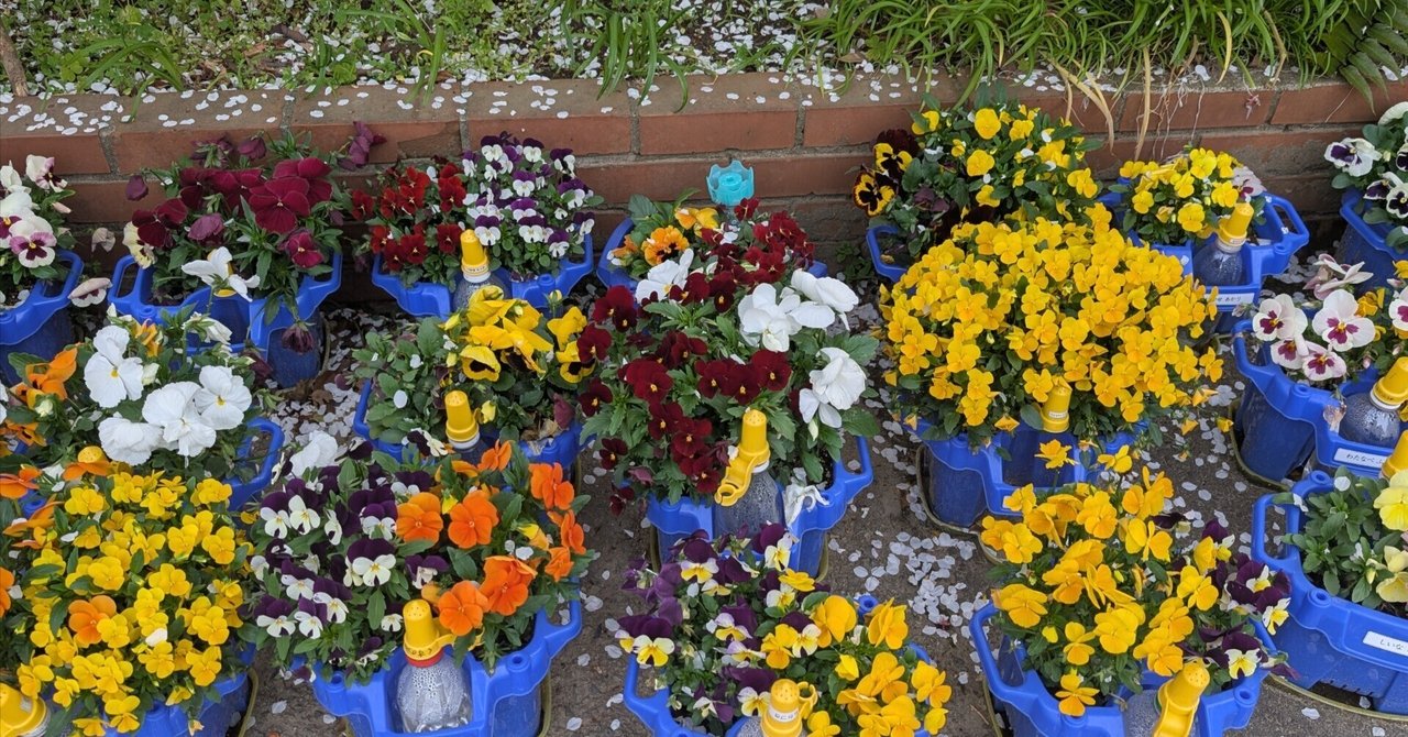 孤独死が増えているらしいです｜大山豪太 Gota Oyama