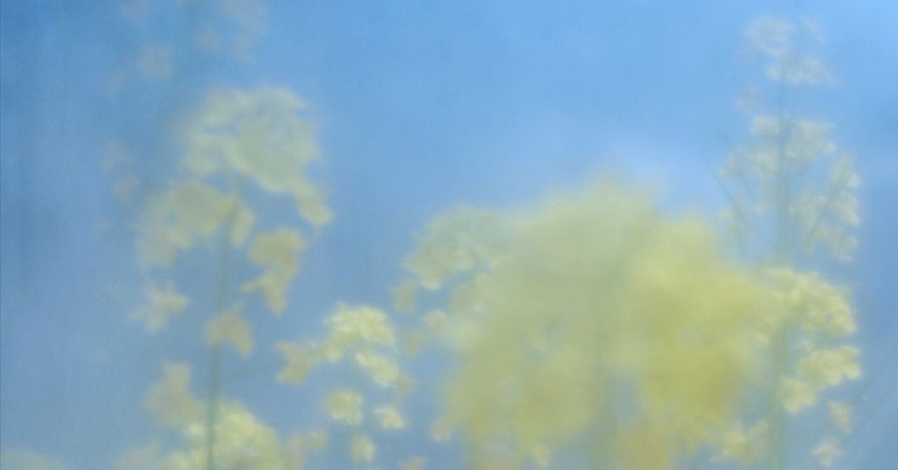 ベス単 フード外し｜K.zaki