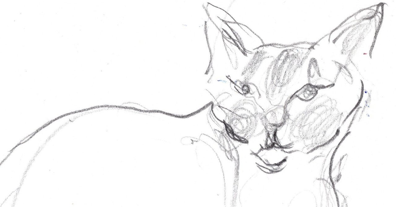 猫じゃらしズム じゃれ過ぎ｜仁吾巴 妍 niaha ken