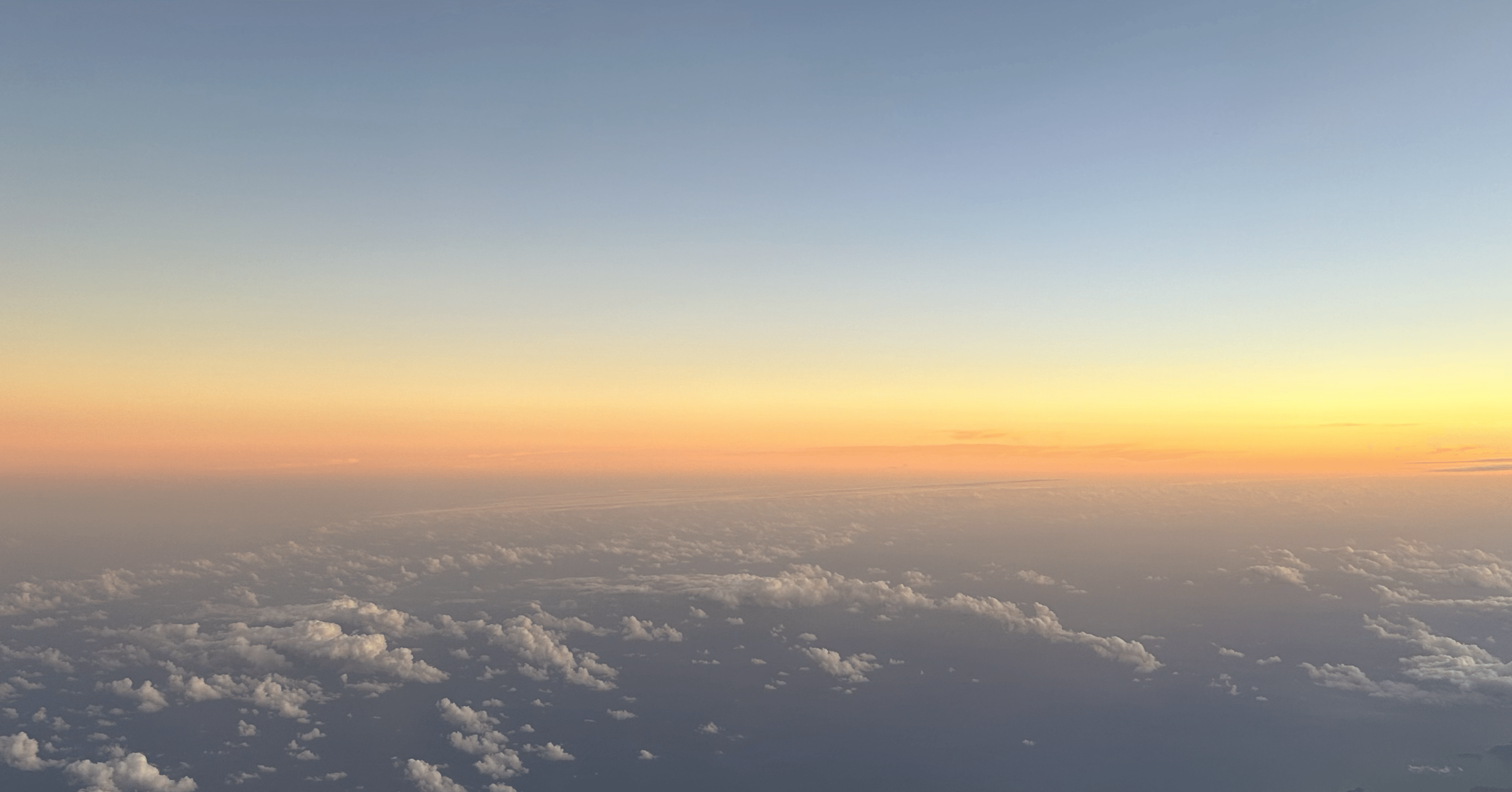 eigo｜パーソナルトレーナー｜note