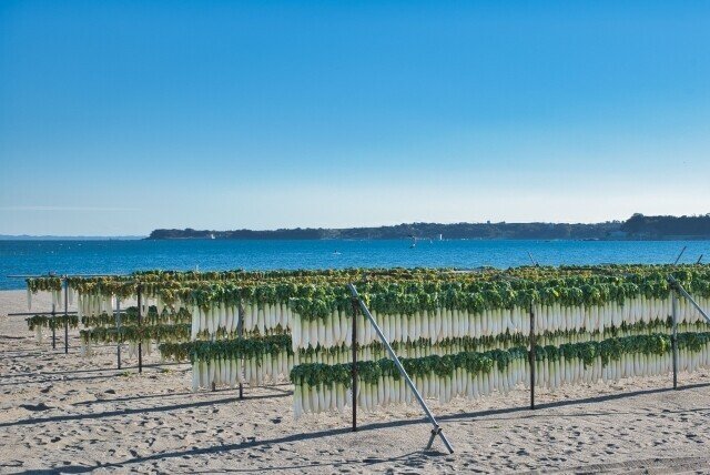 今を大切に生きる【マインドセット】 https://kachifukaba.com/%e4%bb%8a%e3%82%92%e5%a4%a7 ...