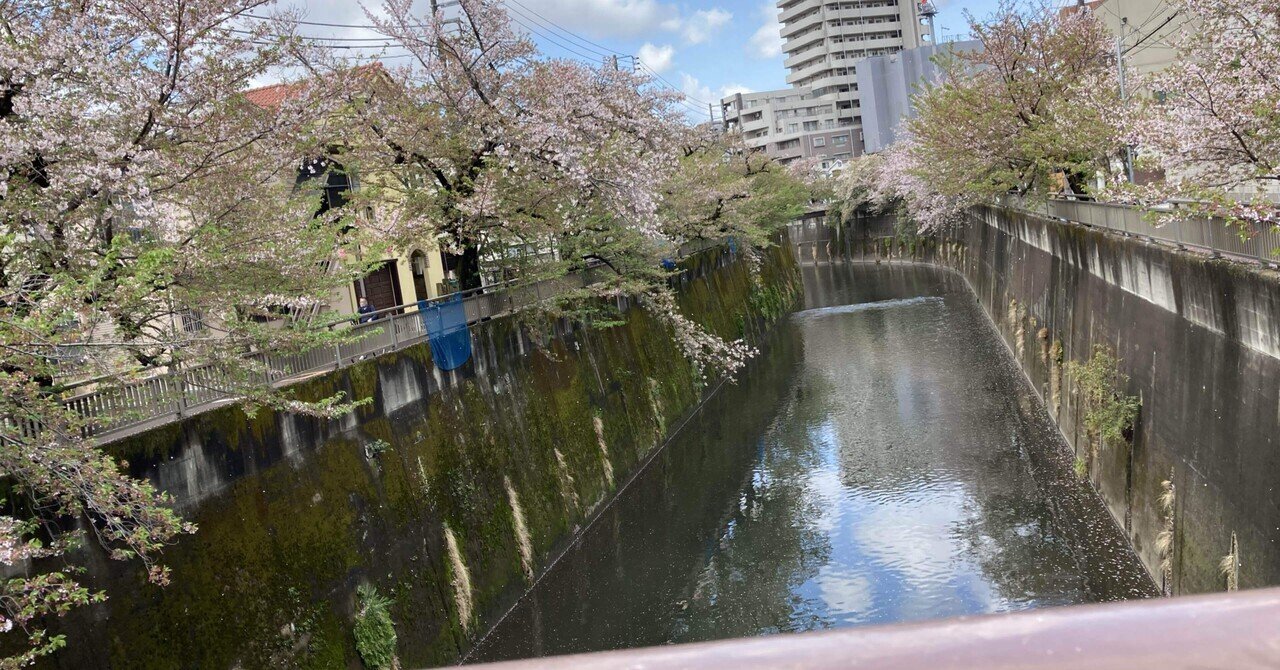 ため日記：2025/4/15｜ため画伯/Tami