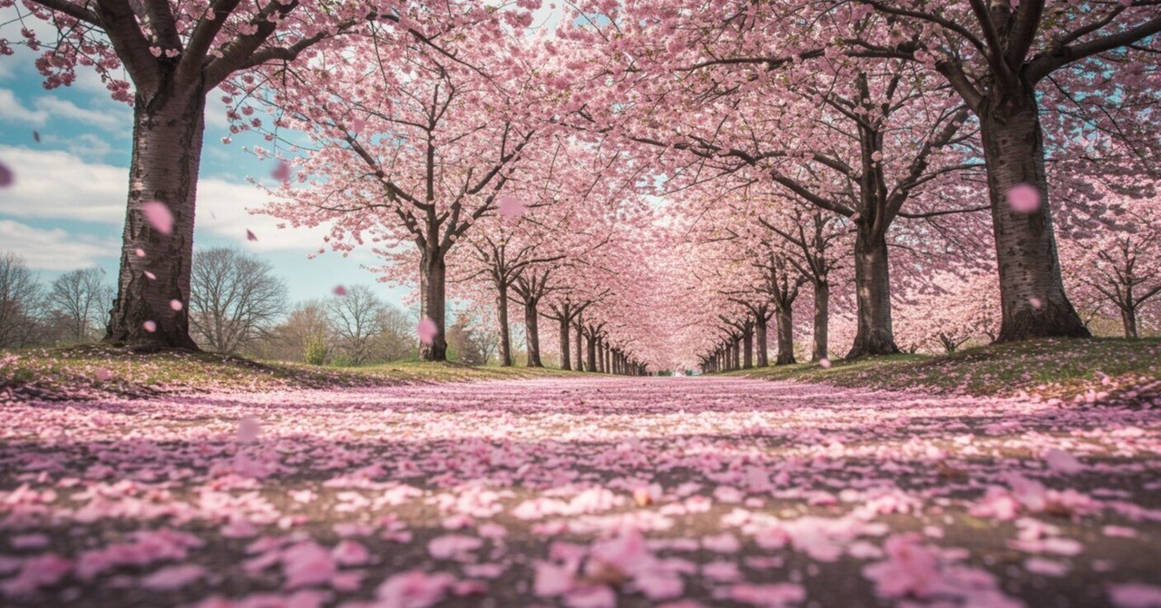 春に静かな恋をして｜Minase Kumi