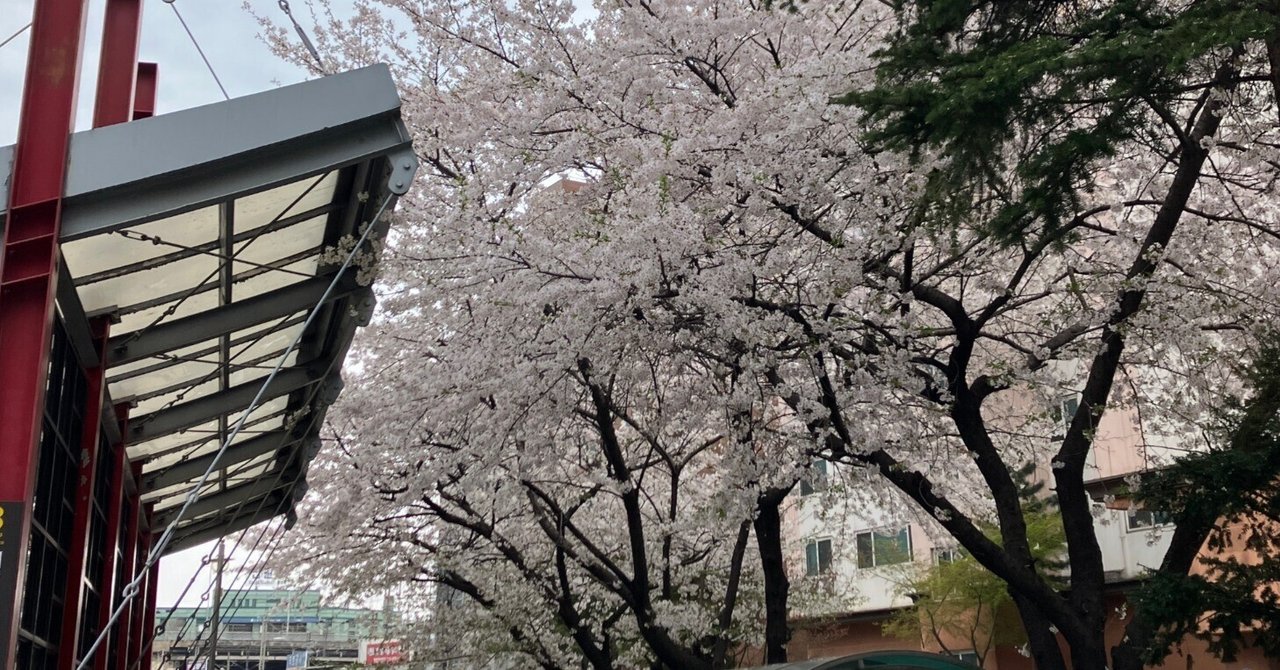 202504ソウルで食べたもの(行き当たりばったり編-1)｜ymt