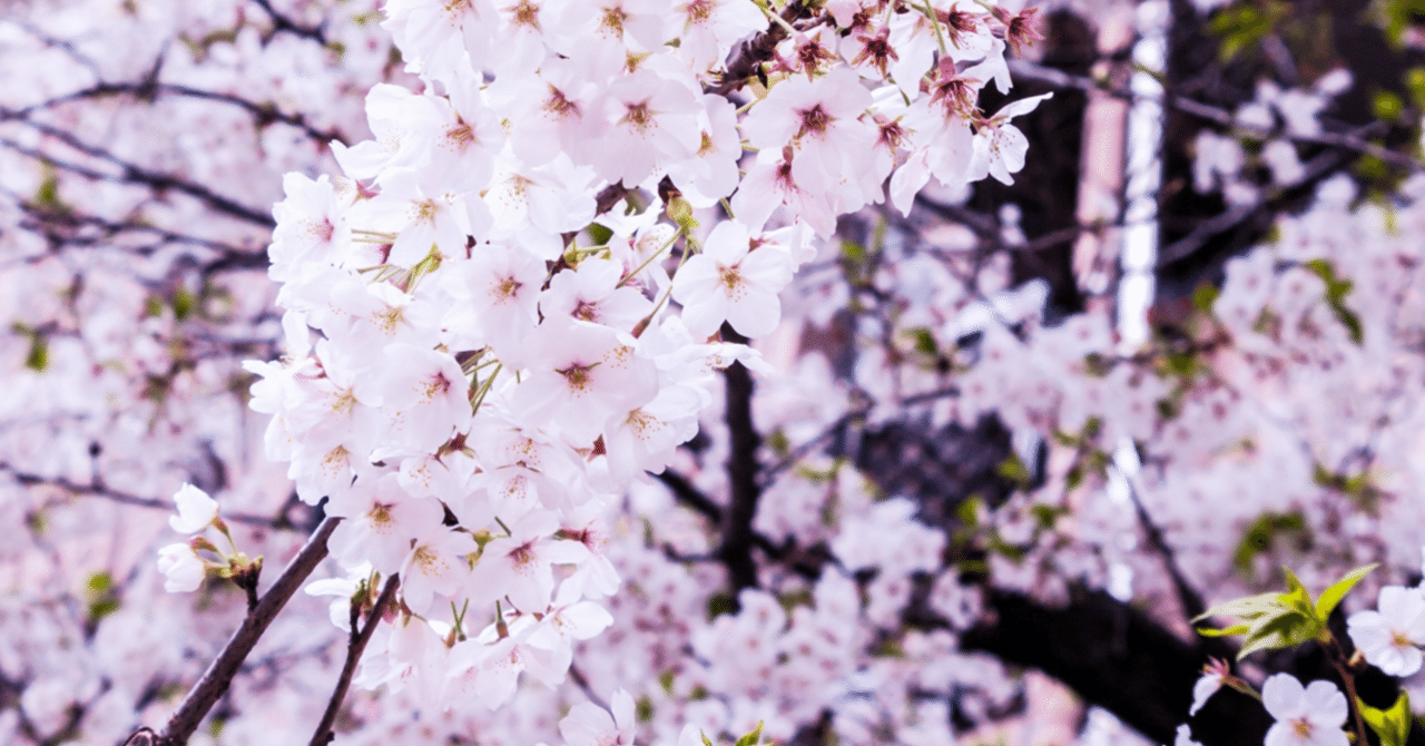 ワーママ日記4/6～4/12｜hohoko