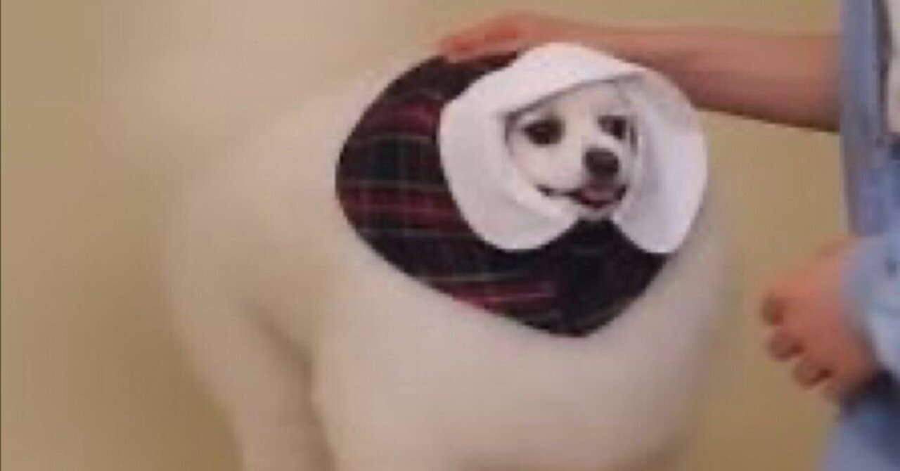 250415｜satoko_terashima