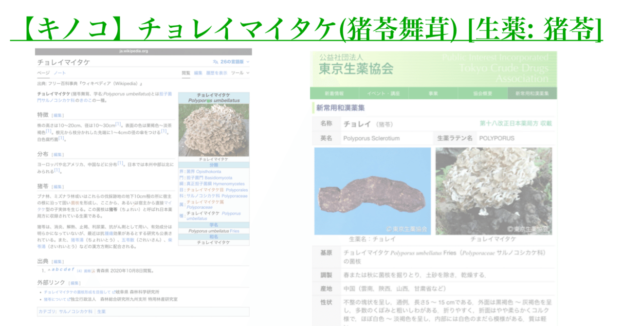 【キノコ】チョレイマイタケ(猪苓舞茸) [菌核は生薬: 猪苓 ( チョレイ ) ]｜200im