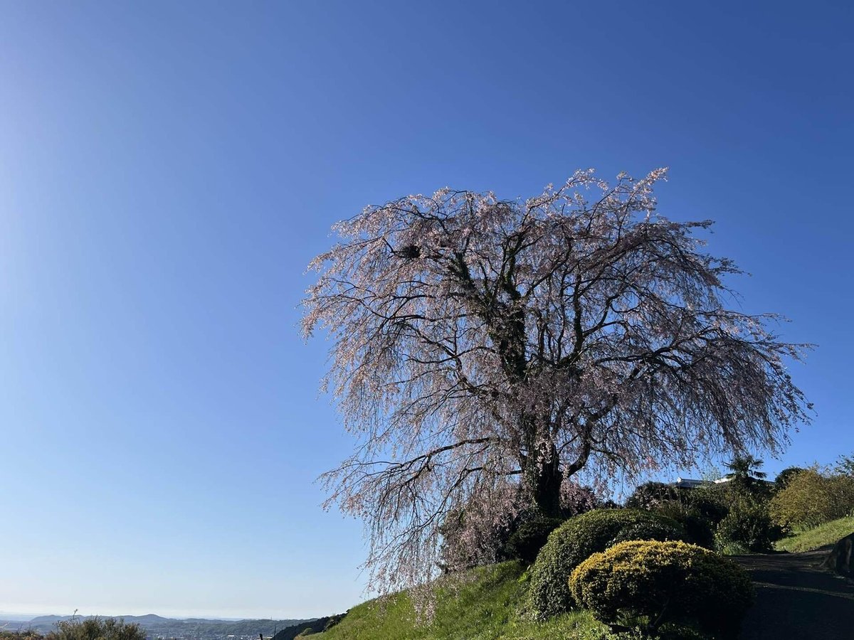 DAY74 風が冷たい｜jucon110