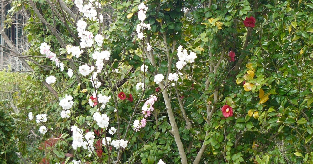 渡り廊下｜海人山人