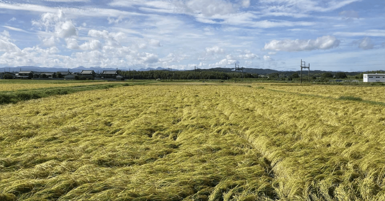 ゆっくりと。｜Torico