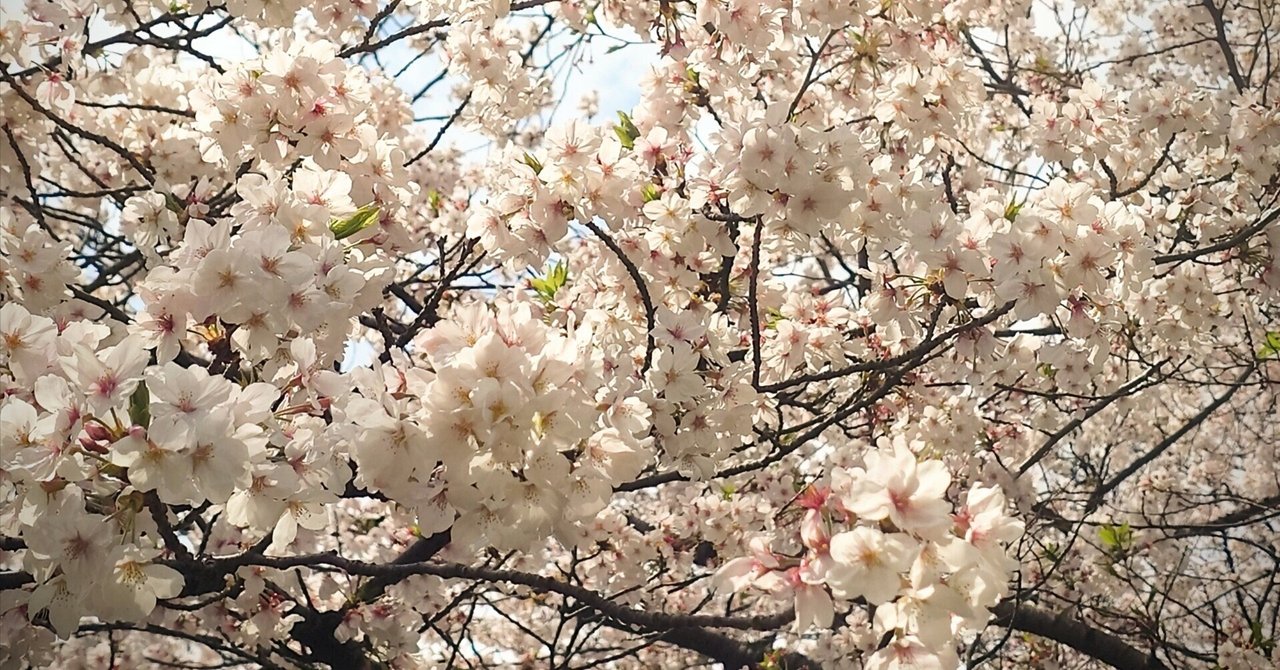 終わっていく｜zizel