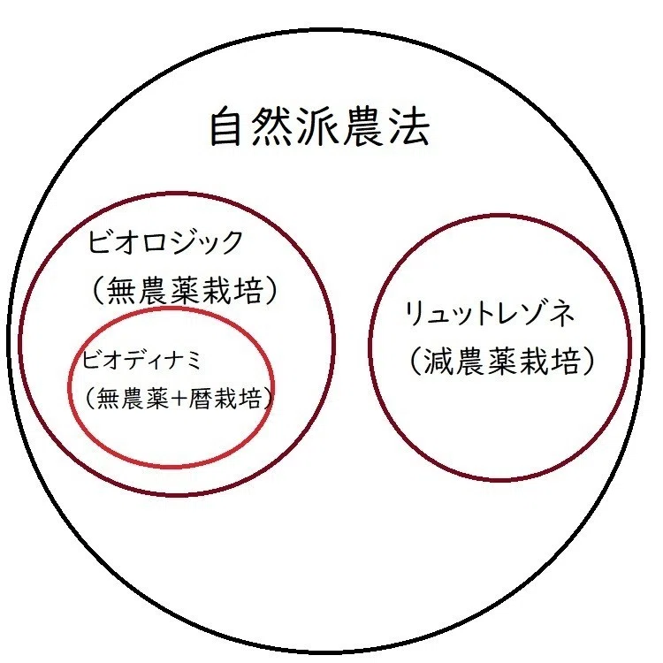わかりやすくビオワインについてまとめてみました。｜Masaki-wine