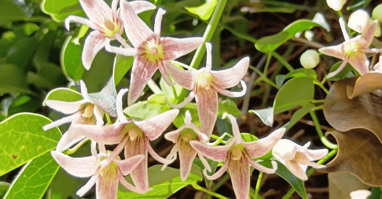 Alpine Linux hdd install｜blue06_2022