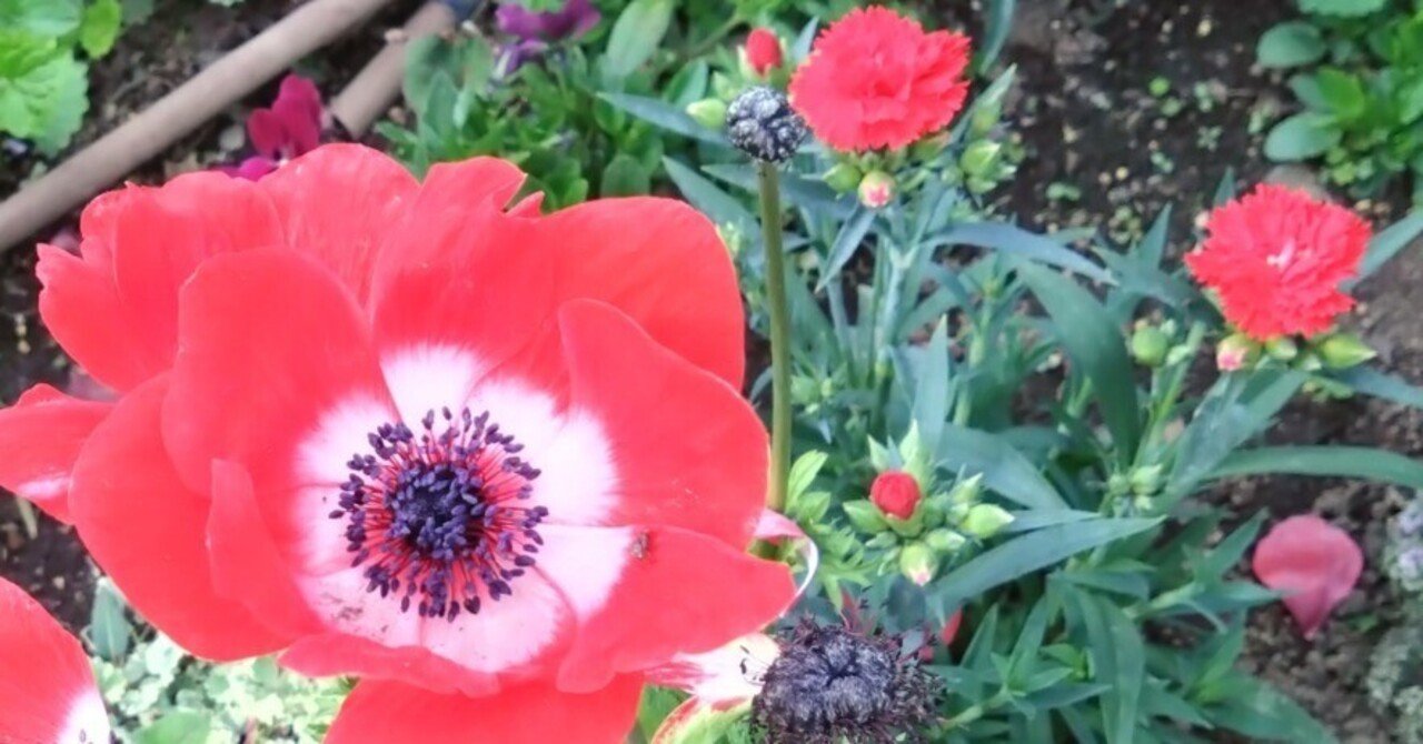 🌷【学びなおしで人生逆転！社会人がゼロからキャリアを作る方法3つのステップ】を支援します🌷｜人材育成支援協会＠今だけフォロバ100