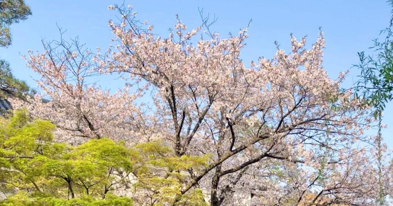 名前呼び｜enkoi_chan