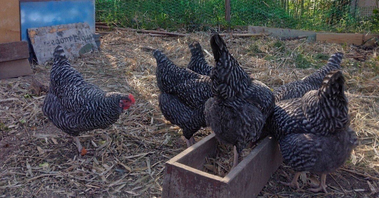 Kazuyuki Yoshida｜note