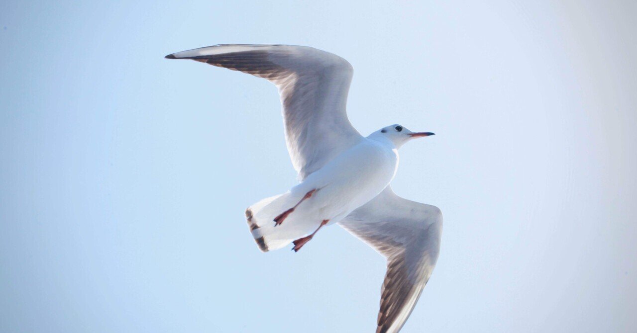 映画レイブンズを観て。｜OHO KANAKO