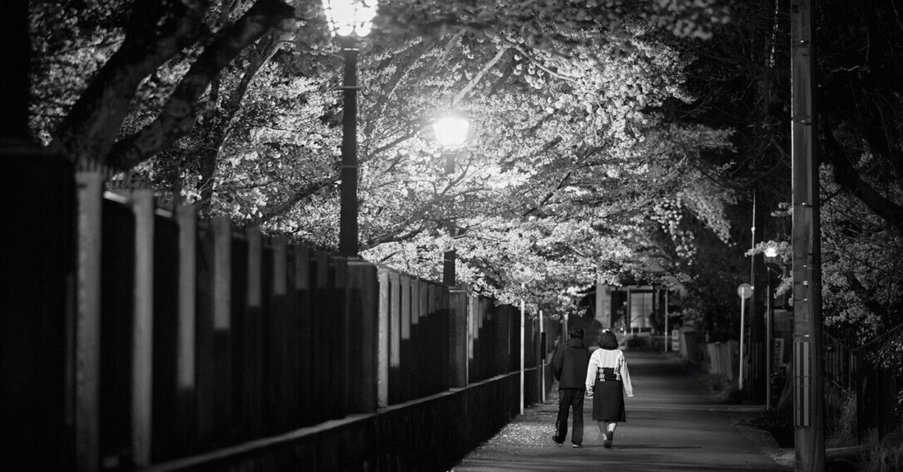 僕の写真が“ありきたり”に見える本当の理由｜005 akkiy