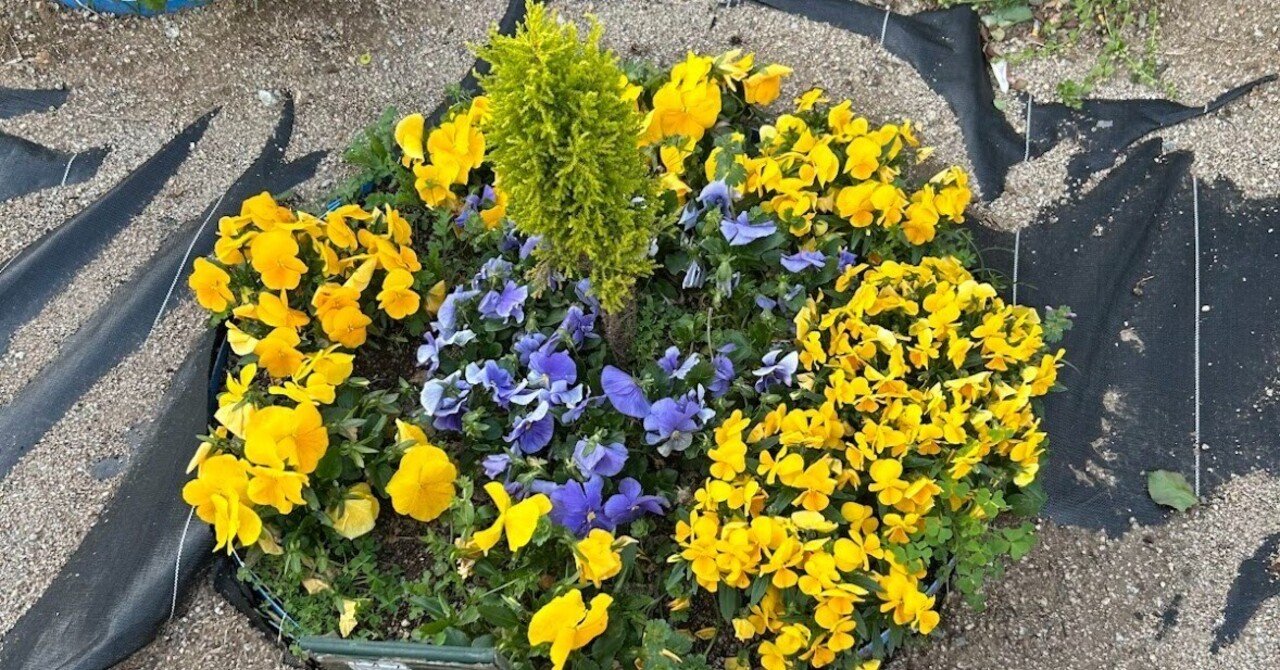 梅一輪、村いっぱいの｜Munakata Shun