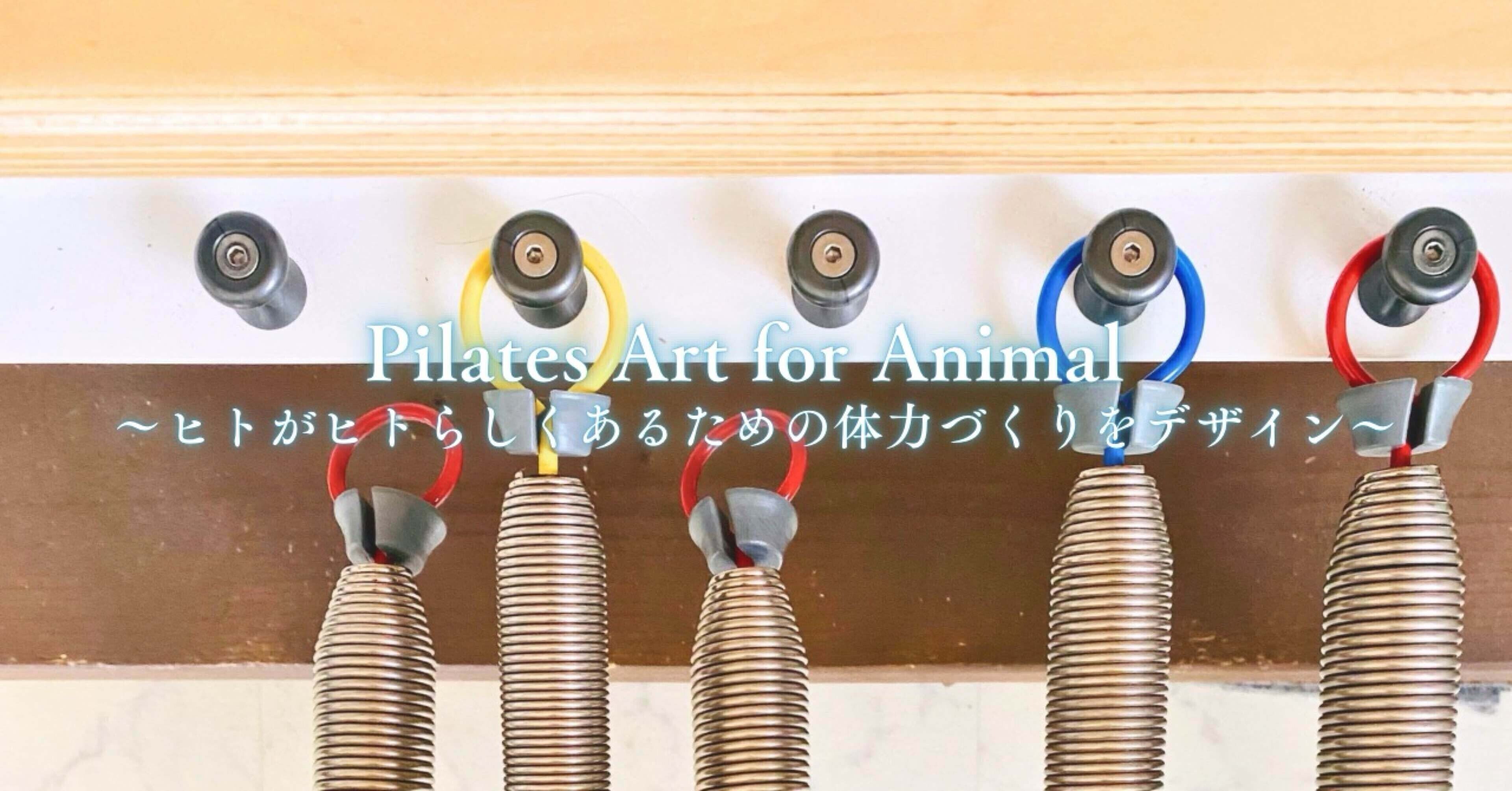 Mami 〔自由が丘・越谷〕ピラティストレーナー｜note