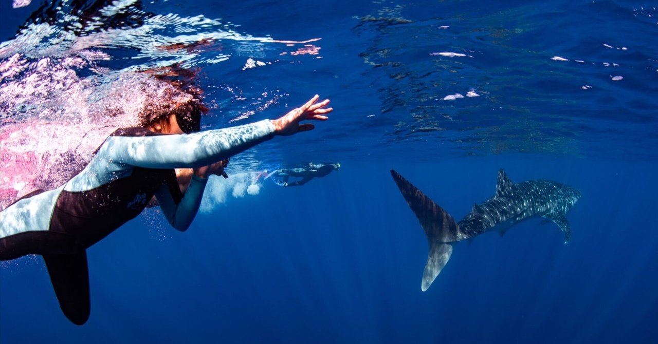 🚐 人生初のロードトリップ - in 西オーストラリア編【後編】｜マイペースにMaiLife