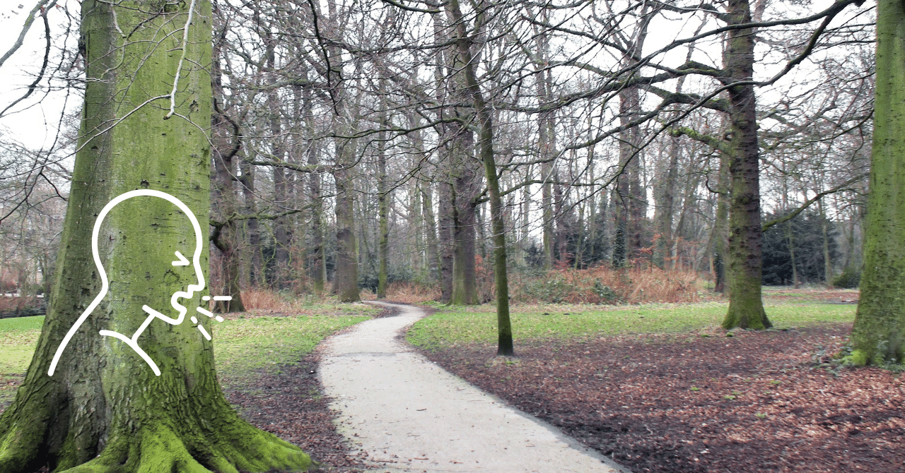 【春先こそ大切に】冬の乾燥ダメージ、肺や肌に出ていませんか？｜kako