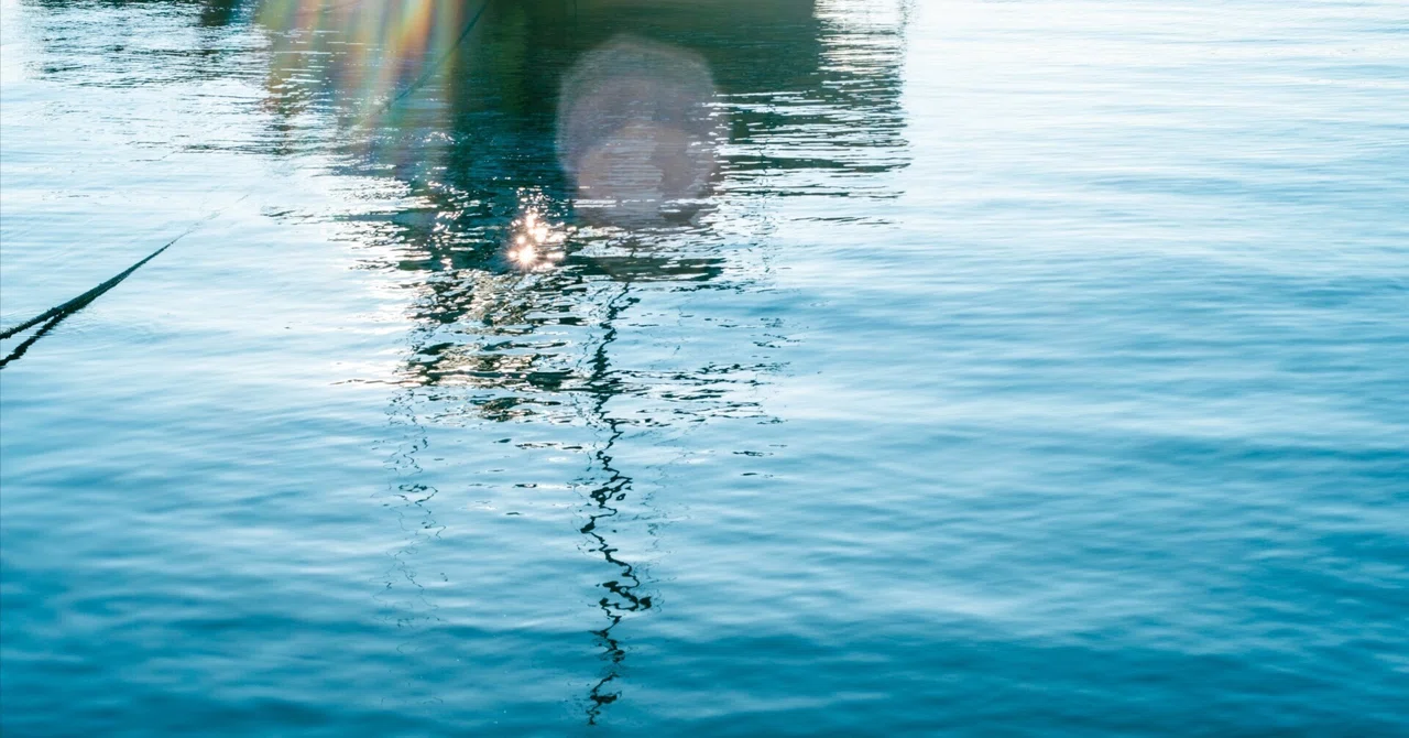 Adult Island Study Abroad: Diving in with the thought of 'I want to try ...