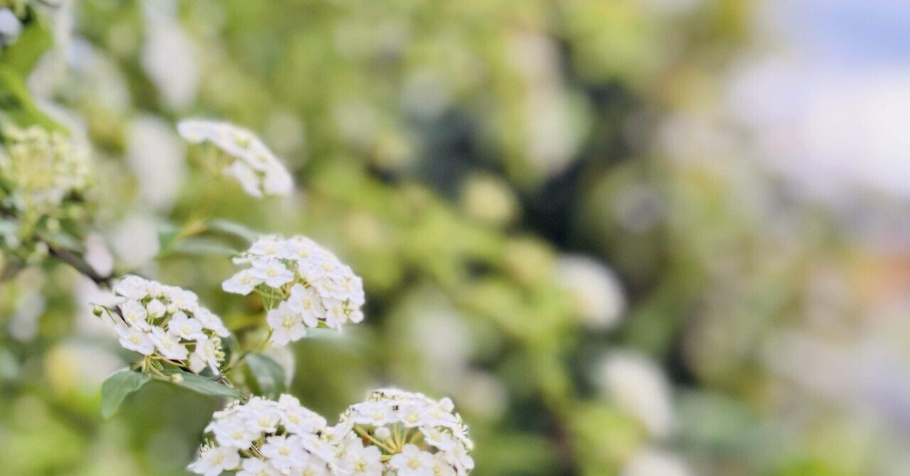 春じゃないじゃない｜kyo☆ko