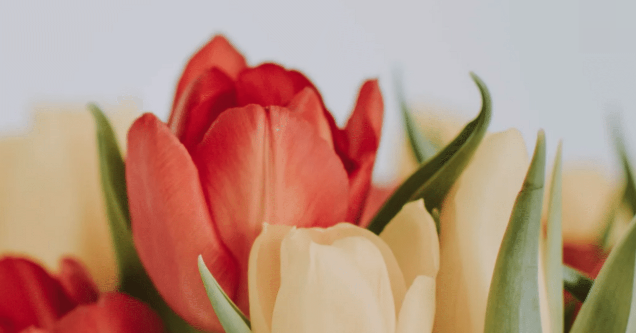 あなたが気づけば全部ある｜Hiroko Aoki