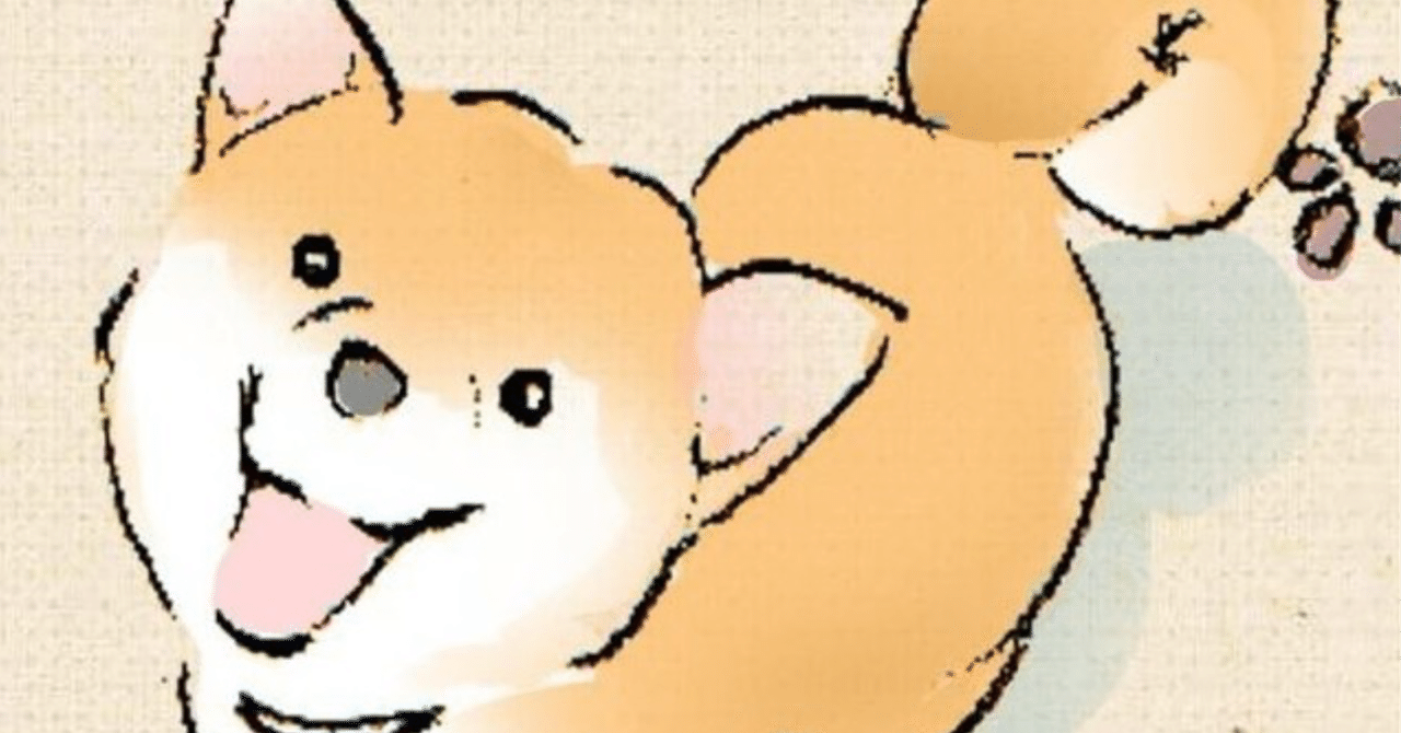 いわせえいこ｜ima studio