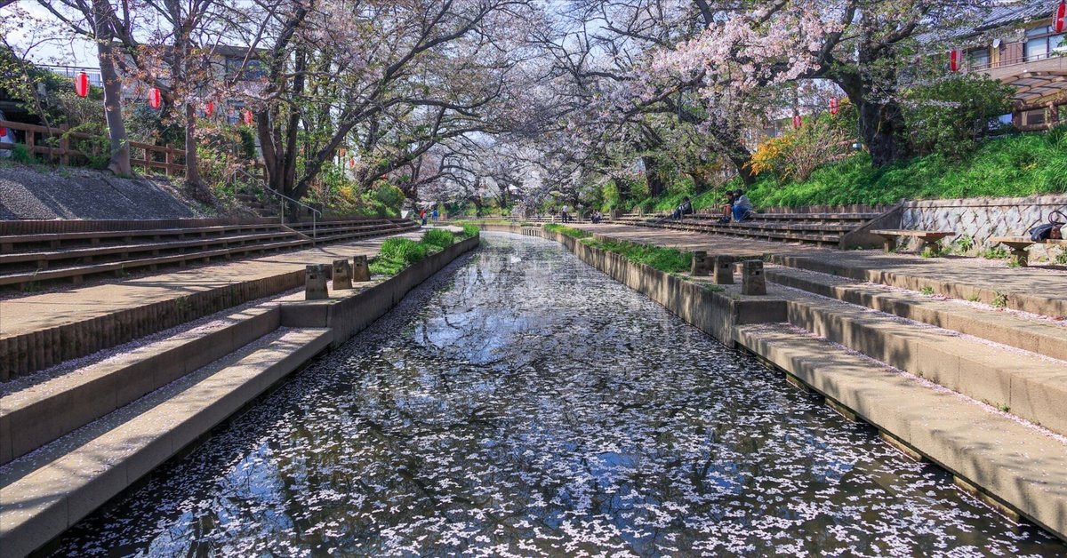 花筏の撮影に挑戦｜Toru Shiratori