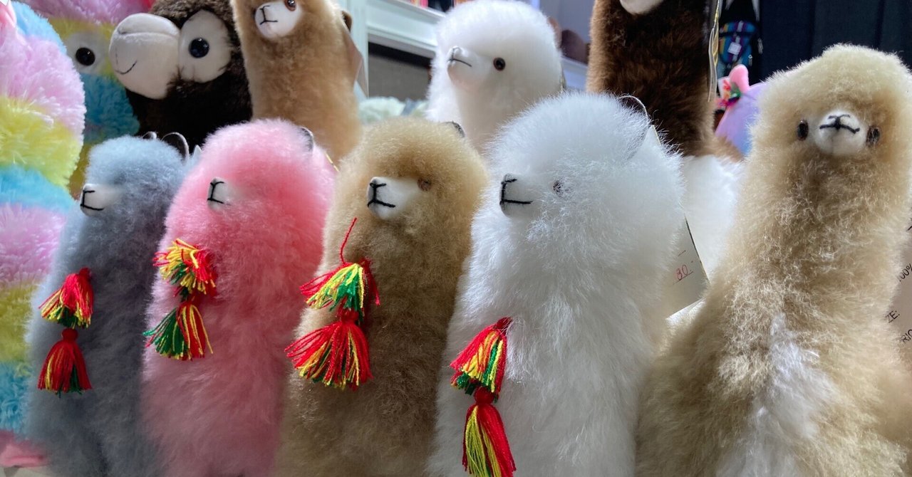 水紛争について｜risako