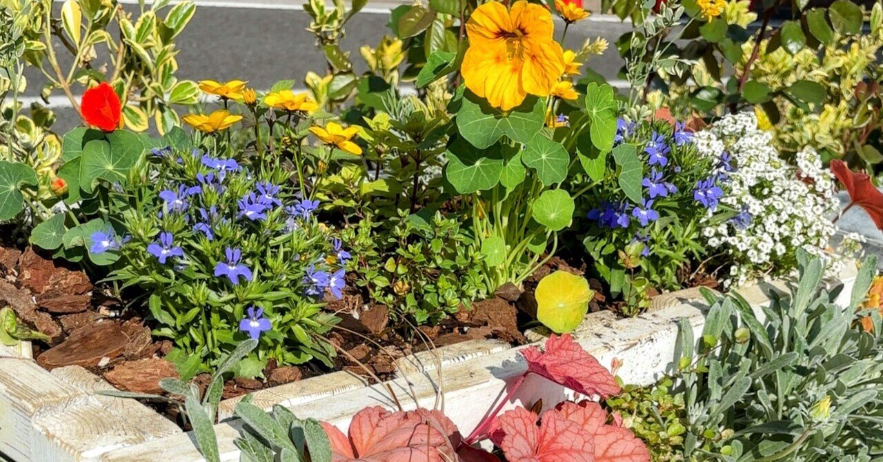 夫は食器洗剤を待っているわけではない[日記]｜nemui👓🐈‍⬛